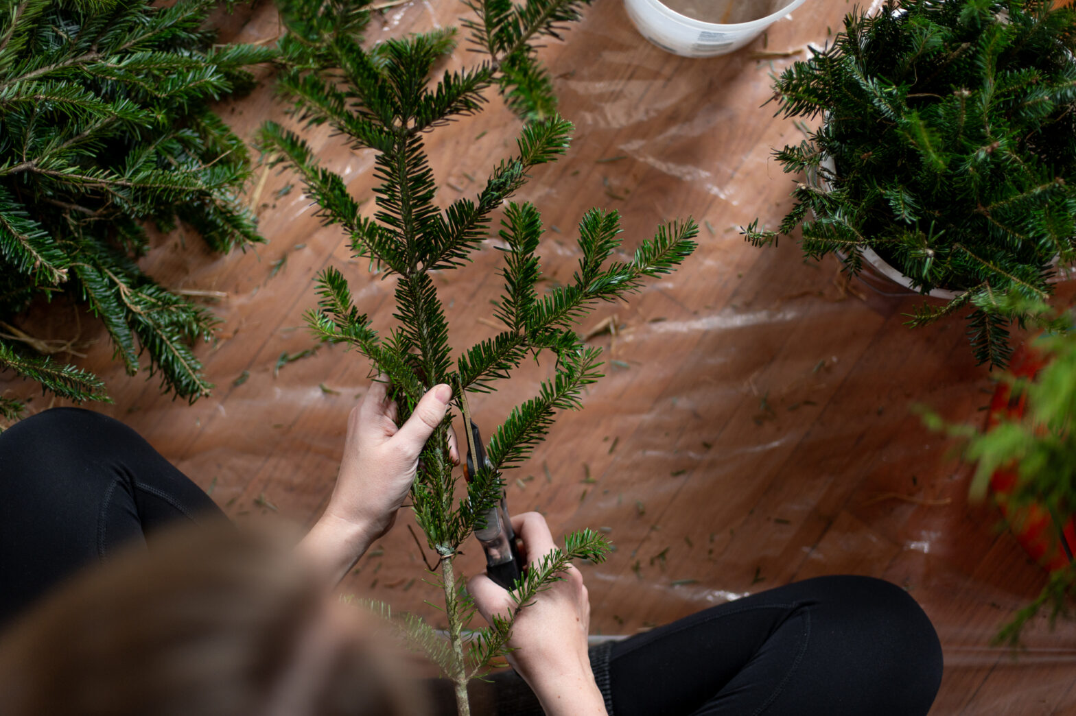 How To Make A DIY Fresh Evergreen Christmas Wreath with Foraged ...