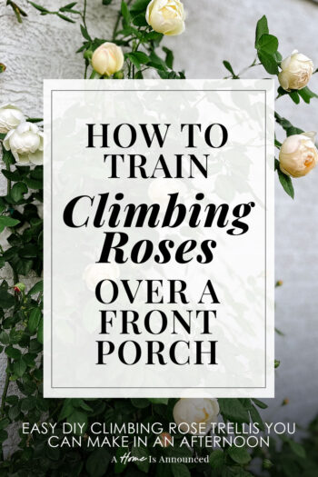 How to Install a Wire Trellis to Train Climbing Roses Over a Front ...